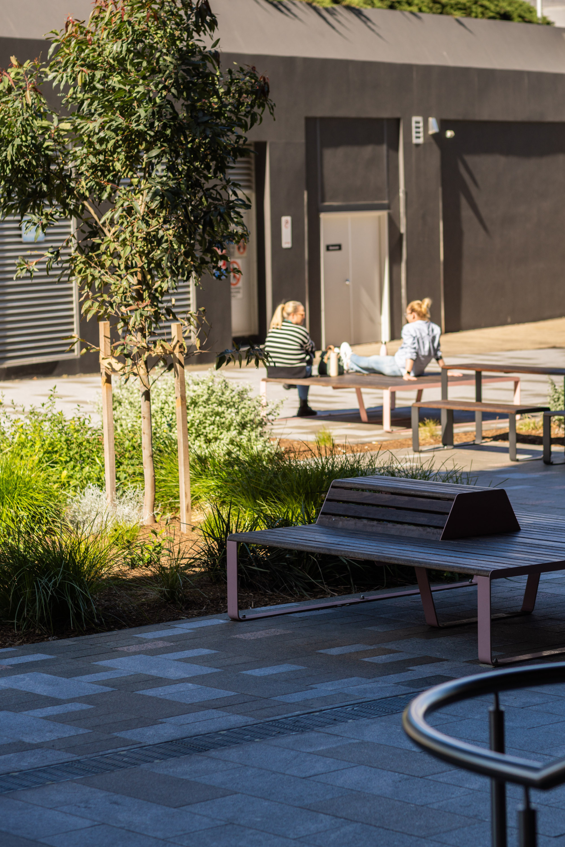 Leathwood | Bankstown University