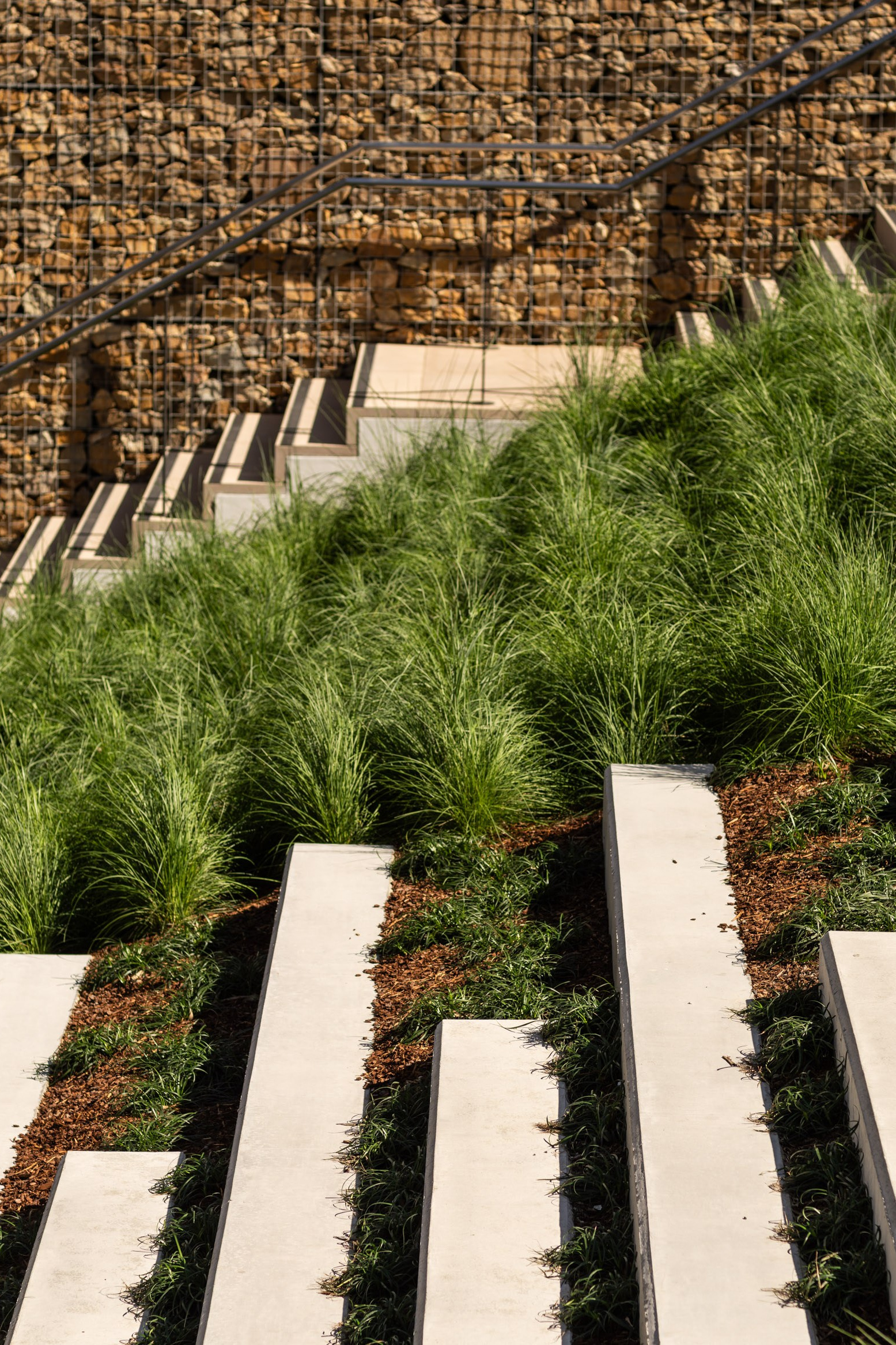 Leathwood | NINE Apartments